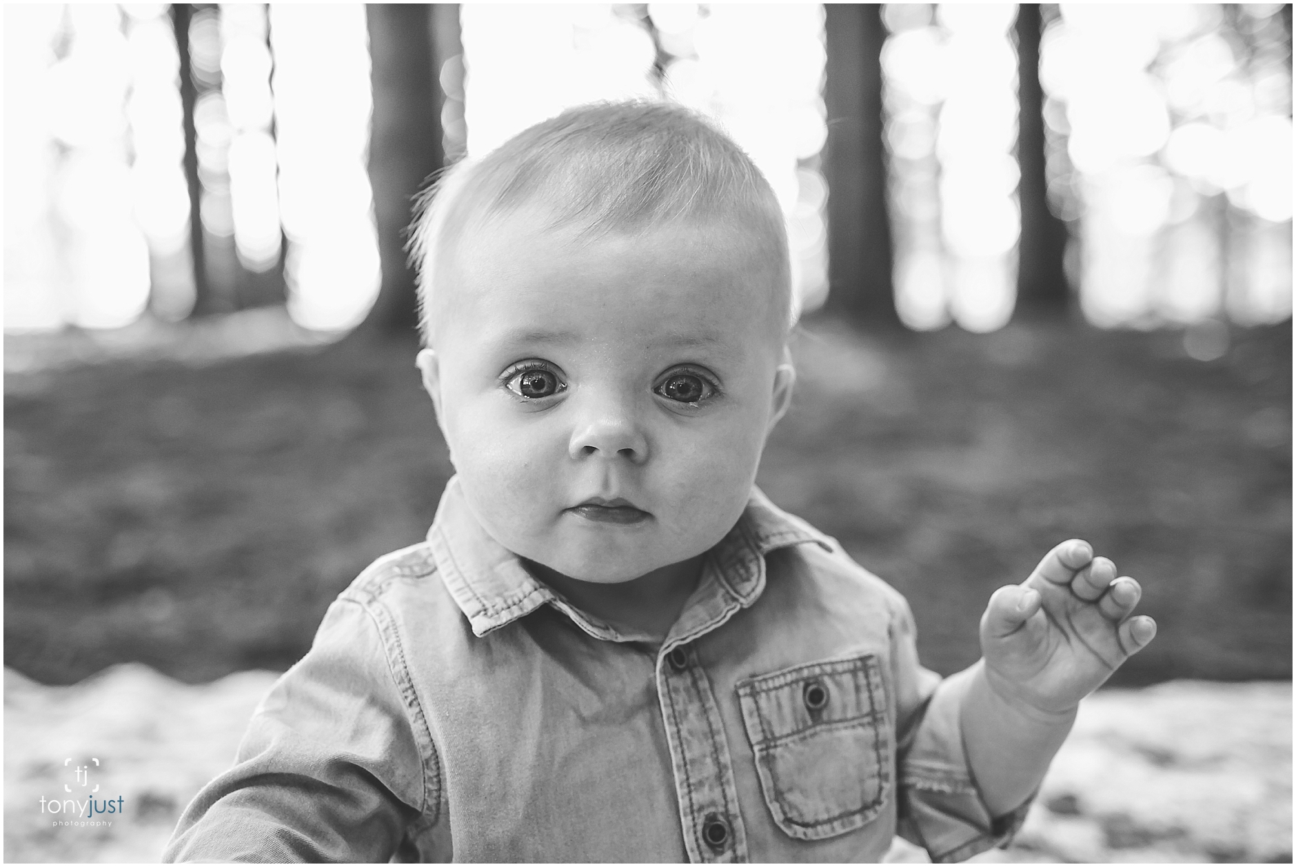 WISCONSIN FAMILY PHOTOGRAPHY | THE MAJEWSKI FAMILY » Tony Just ...